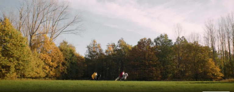 Primus - It starts with a PRIMUS.